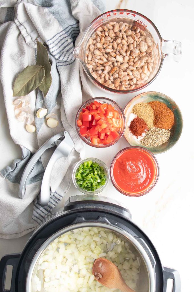 Instant Pot Mexican Pinto Beans - Debra Klein
