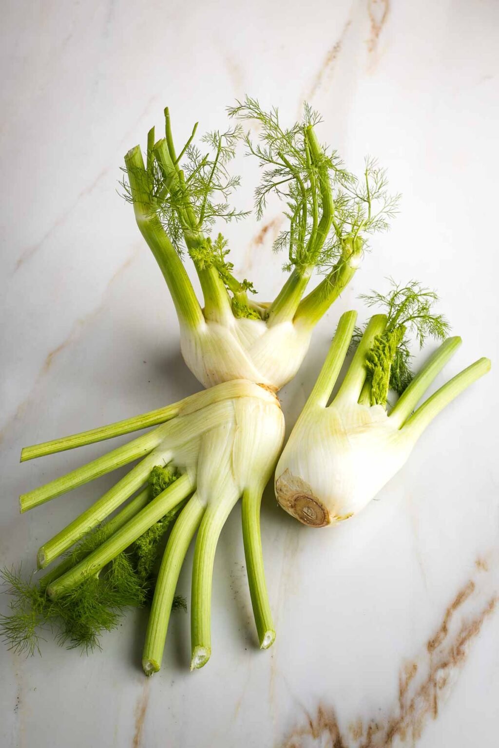 Easy Braised Fennel Recipe - Debra Klein